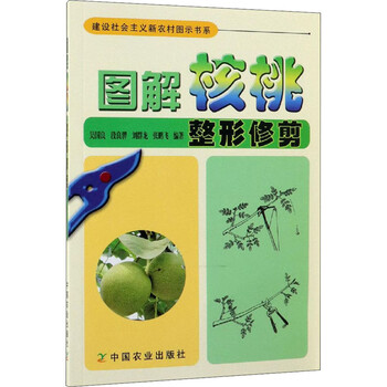 图解核桃整形修剪
