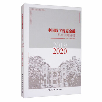 中国数字普惠金融热点问题评述（2019-2020）