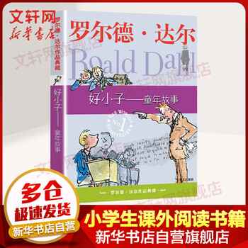 好小子：童年故事 罗尔德达尔作品典藏