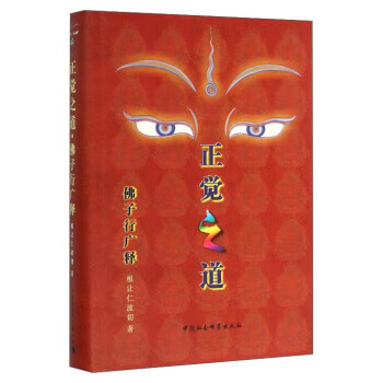 正觉之道 佛子行广释 根让仁波切 著【正版书】