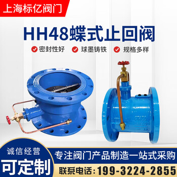 HH48X/49X微阻缓闭蝶式止回阀消声缓闭止回阀防倒流水锤止回阀 DN200【图片 价格 品牌 报价】-京东