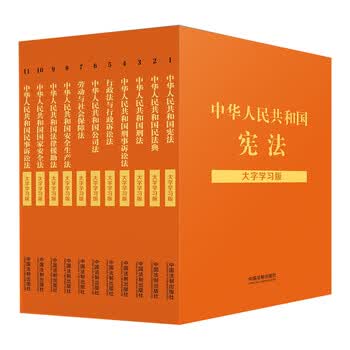 法律法规大字学习版（套装共11册）