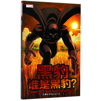 黑豹(谁是黑豹)