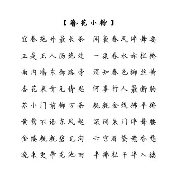 2022年公务员申论范文考试字帖国考公考行书楷书临摹钢笔练字帖 簪花小楷套餐三：具体见详情页