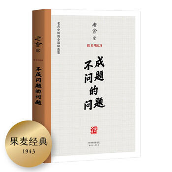 不成问题的问题（同名电影原著）