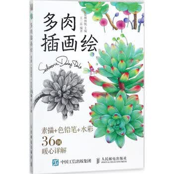 多肉插画绘