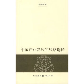 中业发展的战略选择 芮明杰 格致出版社