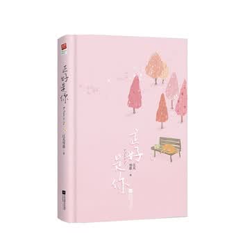 【正版书籍】正好是你  江天雪意 著