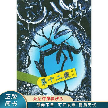 第十二夜 铁凝