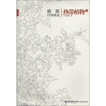 唯美白描精选(2)热带植物