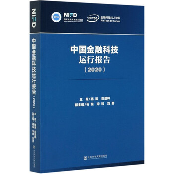 中国金融科技运行报告(2020)