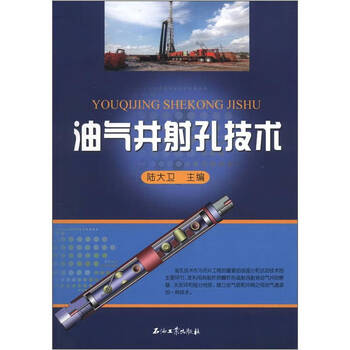 油气井射孔技术【新华书店，售后无忧】