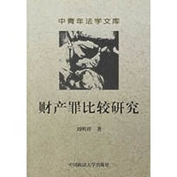 财产罪比较研究 中青年法学文库