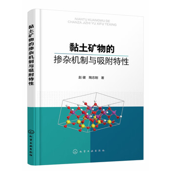 黏土矿物的掺杂机制与吸附特性