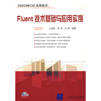 Fluent技术基础与应用实例