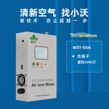 WST-05A手持式经典负离子检测仪 WST-05A 5000万【图片 价格 品牌 报价】-京东
