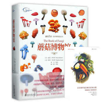 蘑菇博物馆+古尔德手绘巨嘴鸟高清大图