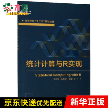 统计计算与R实现(高等学校十三五规划教材)