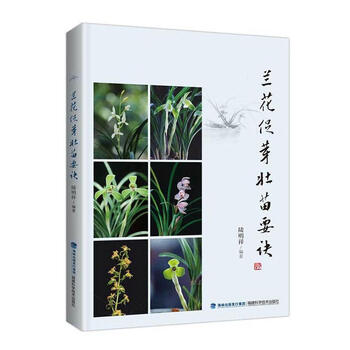 兰花促芽壮苗要诀 陆明祥 家居 9787533560072