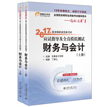 2017年税务师职业资格考试应试指导及全真模拟测试：财务与会计 丁奎山 北京大学出版社 978730