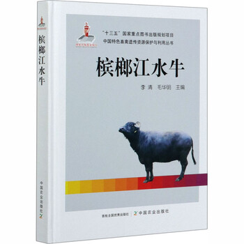 槟榔江水牛