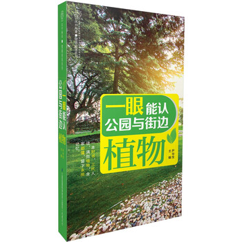 一眼能认公园与街边植物(汉竹)
