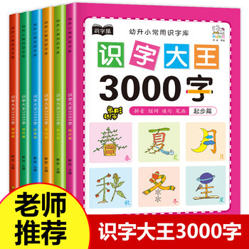 【老师推荐】儿童识字书 全套6册 识字大王3000字 学前识字幼儿早教启蒙 宝宝看图认字书神器