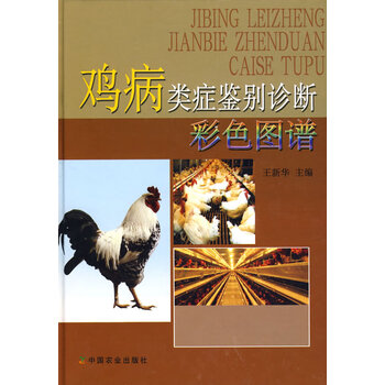鸡病类症鉴别诊断彩色图谱 王新华