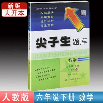尖子生题库六年级上下册数学人教版+北师版2021小学6年级同步教材全解练习题资料天天练 下册数学（人教）