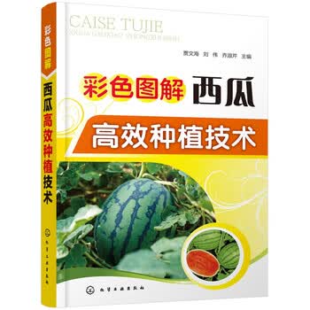 正版彩色图解西瓜高效种植技术 全彩实用知名专家编写 化学工业出版社