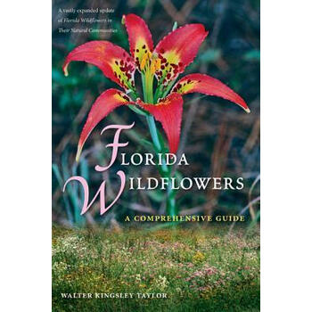 Florida Wildflowers: A Comprehensive Guide