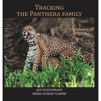 Tracking the Panthera Family