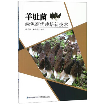 羊肚菌绿色高优栽培新技术