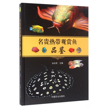 名贵热带观赏鱼品鉴(精)