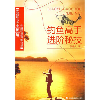 钓鱼高手进阶秘技【正版图书】