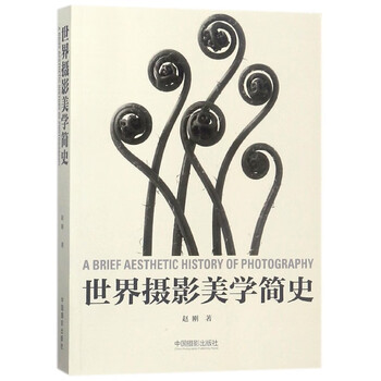 世界摄影美学简史