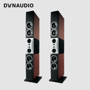 丹拿（DYNAUDIO）丹拿（DYNAUDIO）Evidence Master大证据HiFi高保真落地音响发烧音箱一对 玫瑰木色 玫瑰木色 ...