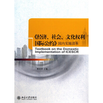 经济社会文化权利国际公约国内实施读本