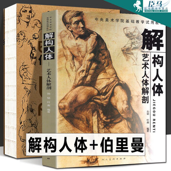 【2册】解构人体：艺术人体解剖 第二版修订版+伯里曼人体绘画：从入门到精通 中央美术学院入门基础教材