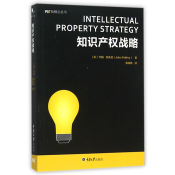 知识产权战略/新概念丛书