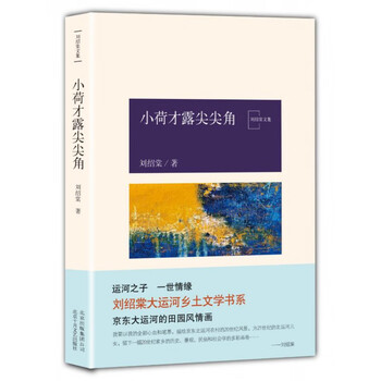 小荷才露尖尖角