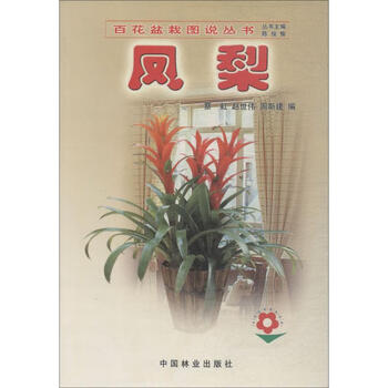 凤梨