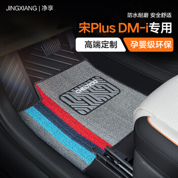 净享专用于2023款比亚迪宋plusdmi脚垫tpe大包围ev新能源21/23汽车 TPE单层+莫兰迪灰雪妮丝彩条 比亚迪宋PLUS【图片 价格 品牌 报价】-京东