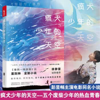 正版 疯犬少年的天空 里则林著 彭昱畅主演电视剧风犬少年的天空同名小说 燃野少年