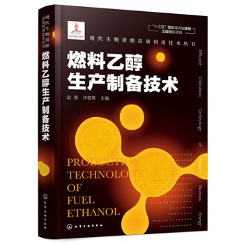现代生物质能高效利用技术丛书：燃料乙醇生产制备技术（精装）