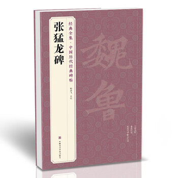 经典全集《张猛龙碑》8开历代碑帖精粹译文简体注释北魏楷书毛笔字帖书法成人学生临摹帖练古帖练字书籍杨建飞