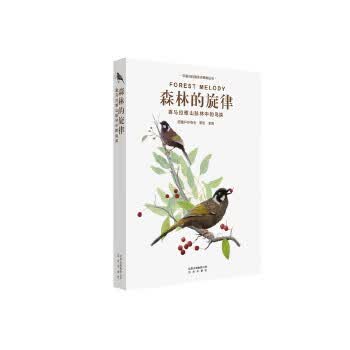 森林的旋律