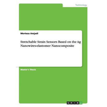 Stretchable Strain Sensors Based on the Ag Nanow