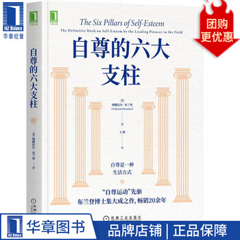 现货包邮 自尊的六大支柱8084163