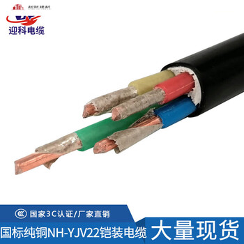 迎科电缆铜芯电缆NH-YJV22铠装10 16 25 35 50平方WDZN-YJY耐火电缆线 耐火NH-YJV 3*10/米【图片 价格 品牌 报价】-京东